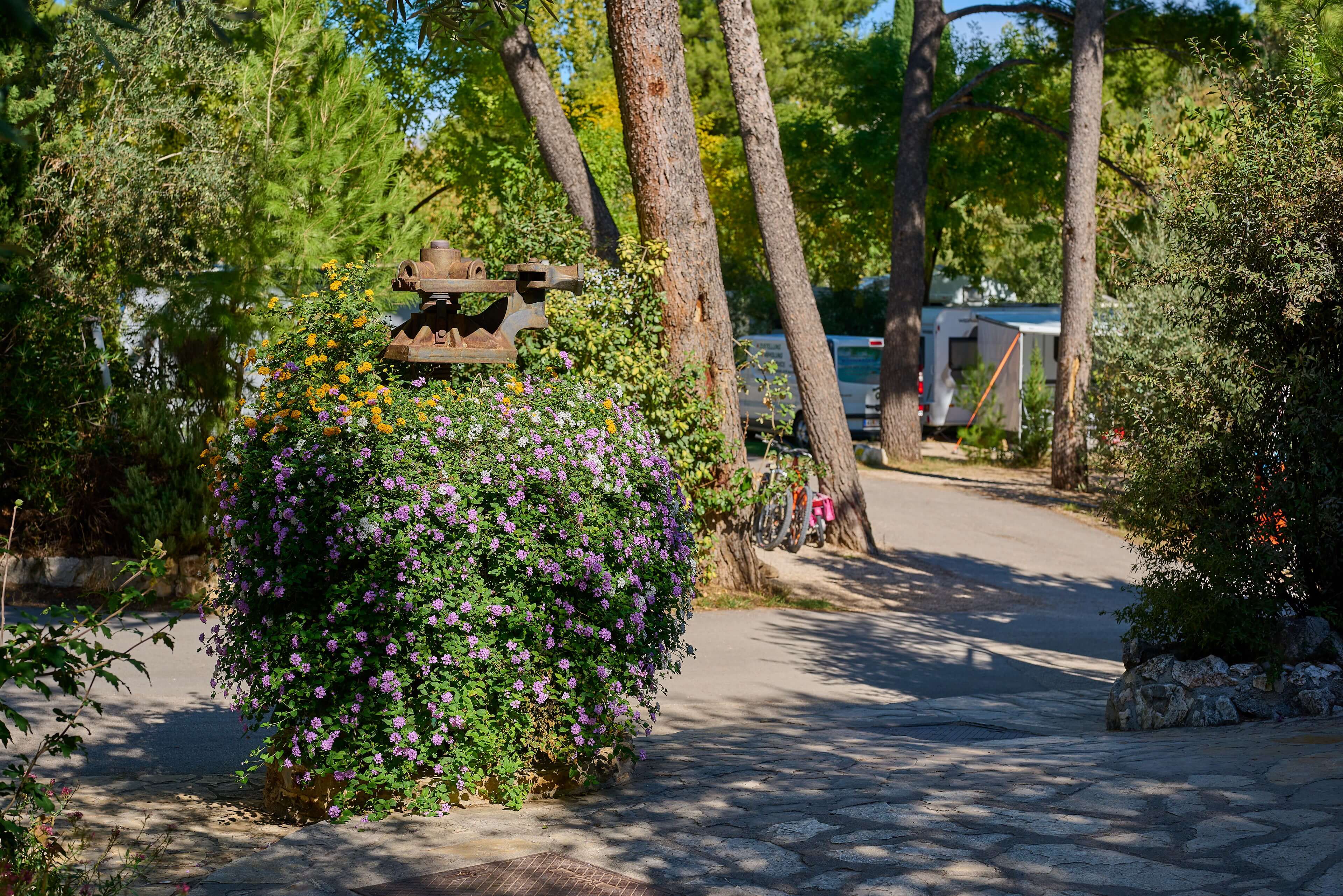 Photo gallery - Campsite & Surroundings photos - Camping Stobreč Split