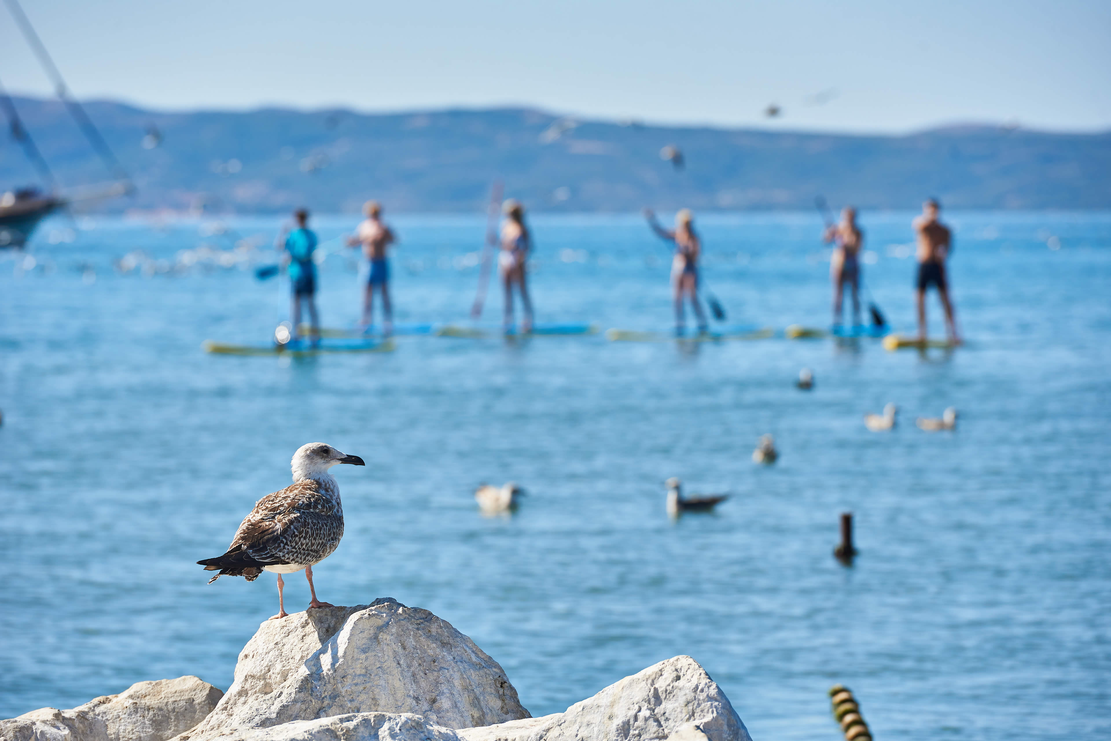 Camping Stobreč Split - The best middle sized campsite in Croatia